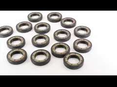 Original High Pressure Oil Seals GJ1721-F0 SCJY 30*52*10 FKM 6HK1 Engine Oil Seal