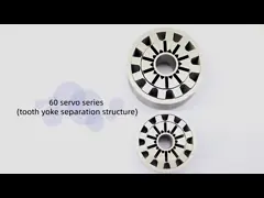 Have you ever seen sunflower like stator and rotor iron core?