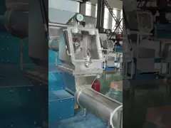 Cina Stable high output XT-300 Double Layer Simplex Vacuum Soap Plodder Used for making Laundry soap in vendita