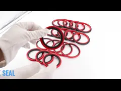 SPGO Glyd Seal HBTS Step Seals