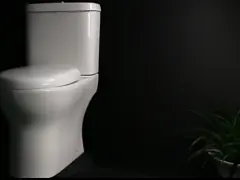 Durable OEM One Piece Toilet Sanitary Ware Toilet Siphonic 220_300_400mm S-trap Toilet Soft Closing