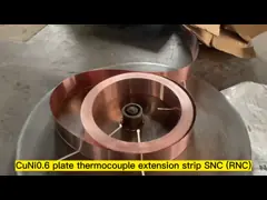 CuNi0.6 placcano 0,5 x 100 x 1000mm per la striscia SNC (RNC) di estensione della termocoppia di S/R
