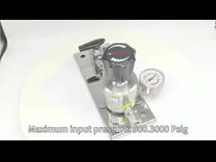 Stainless Steel Pressure Regulator