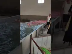 Fruit cleaning and choosing machine