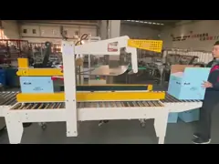 Automatic Carton Sealer +Strapping Machine Packing Line