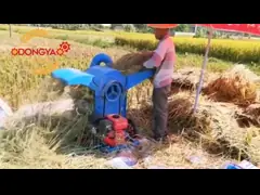 China Multi-funtion oilrape bean wheat paddy sorghum thresher machine for different plant  for sale