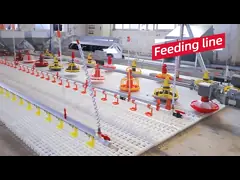 Καυτός εξοπλισμός φαρμάτων πουλερικών σχεδίου κοτετσιών κοτόπουλου πώλησης αυτόματος