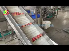 China 1000kg/H Apple Juice Fruit Processing Line / Automatic Fruit Puree Pulp Juice Processing Equipment for sale