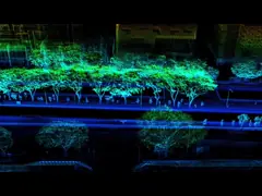 Application of Mobile LiDAR Mapping in Road