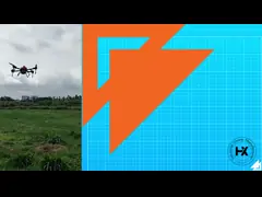 Ispezione su misura del industriale-grado che traccia il UAV del fuco di trasporto di sicurezza VTOL