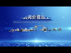 China Intelligent Nuts Processing Machine 380V 50Hz Pecan Processing Equipment for sale