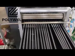 Dadi di modellatura d'espulsione della plastica di nylon di PA per il profilo termico della rottura.