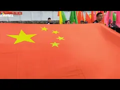 Competition and Camaraderie: Camel Group Sports Day Brings Teams Together