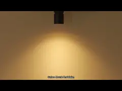 Surface Mounted Downlight