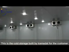 Food And Medical Preservation Refrigerated Storage Rooms Customized 100ton