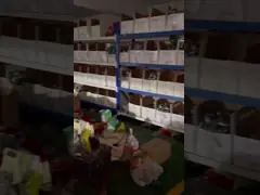 Zhejiang, China press fitting