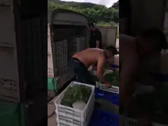 flake Ice Making Machine