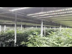 780W Vegetable UV+IR Item Lighting Horticulture LED Grow Light