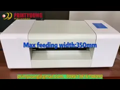 China PRY-360C PVC Film Automatic Sheet Hot Foil Printer Machine For Digital Flatbed Paper Cardboard for sale
