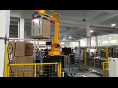 Pelletizing robot for bag and carton box