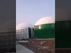 China Biogas Production Per Kg Of Cow Dung Biogas Generation Plant for sale