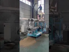 China 22kw Fish Feed Processing Line 1000kg Dog Cat Pet Food Processing Machinery for sale