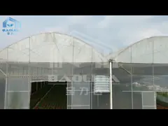 Single Span 150/200 Micron PE Film Plastic Film Greenhouses Agricultural Vertical Farming