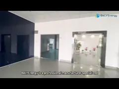 BeLYEnergy Introduction