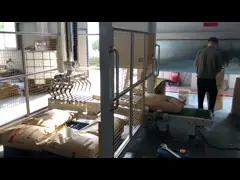 China Semi Automatic Bag Palletizer Machine Equipment Putty Powder High Position for sale