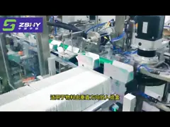 ZSHY-ZX07 carton packing machine