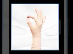 FDA Disposable PVC Gloves Oil Resistant Disposable Gloves