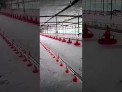 가금 음주가 가금 장비를 위한 플라손 버킷 자동 벨 음주가