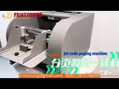 China T-W Series Multi Nozzles Online Inkjet Coding Paging Machine With Two Page Separation for sale