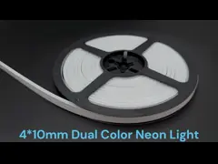led neon lights  0410 dual color -02