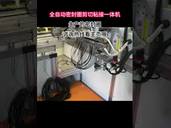 Attrezzature di assemblaggio di anelli di silicone efficienti per la produzione di materiale per anelli di tazze termiche