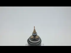 AWA SWA Armoured Copper 100m Length PVC Sheathed Stranded Cable