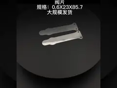 T0020
