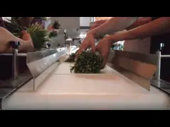 Factory price vegetable automatic packaging machine brocoli packaging and bagging machine