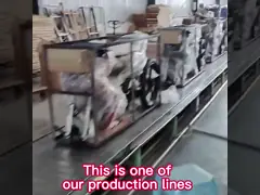 Unveiling the Marvels of Factory Production Line: Witness the Manufacturing Process!
