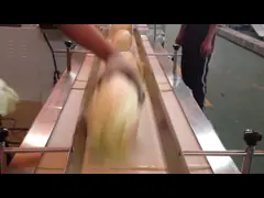 Factory price servo motors vegetables packaging machine  , potato pillow bagging packaging machine