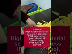 High quality material selection process, IP68 waterproof, 6*30 wire harness over 30A high current ny