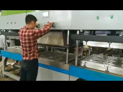 China Vacuum Pulp Molding Tableware Machine 30kw Pulp Forming Machine for sale