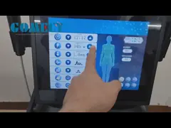 China Needle 200um Morpheus8 Machine , Micro Needle Fractional RF Machine With 15 Inches Touch Screen for sale