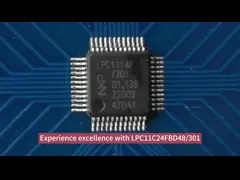 LPC11C24FBD48301