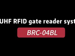 China Sensitive Alarms UHF RFID Gate Tag Reader For Library Books Multi Tag Reading System for sale