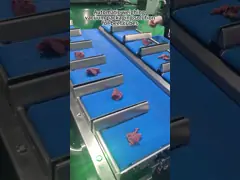 TOUPACK de Transportband van de riemschaal