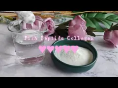 Scale Skin Fish Collagen Peptide  Light Yellow To Brown Powder 100 80 40 Mesh