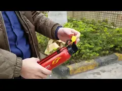 China Car Fire Extinguisher 0.65KG-0.75KG Capacity with 66mm Diameter for Vehicle Emergency Fire Safety for sale