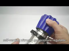 Stainless Steel Reducing Back Pressure Regulating Valve Adjustable Setting
