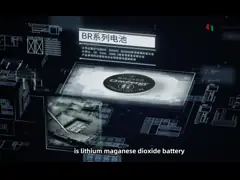 Top 1 Lithium Battery Manufacturer in China